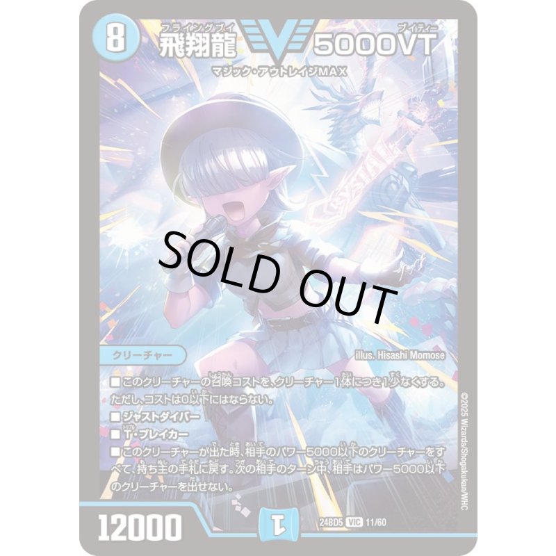 〔状態A-〕飛翔龍5000VT【VIC】{24BD511/60}《水》